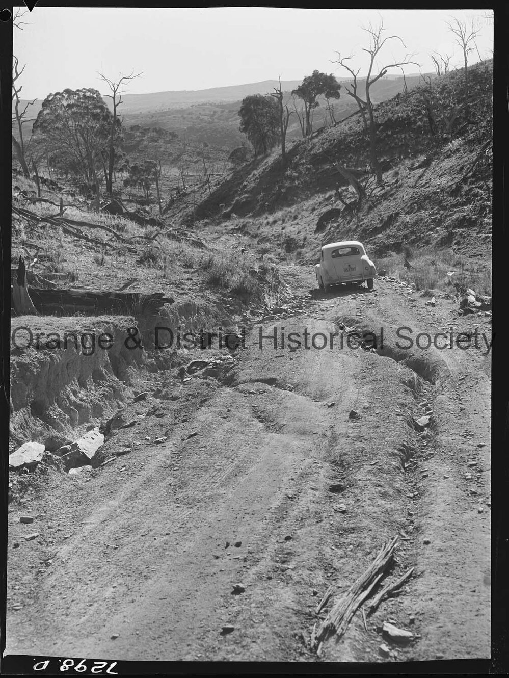 Lower Lewis Ponds Road | Central West Libraries